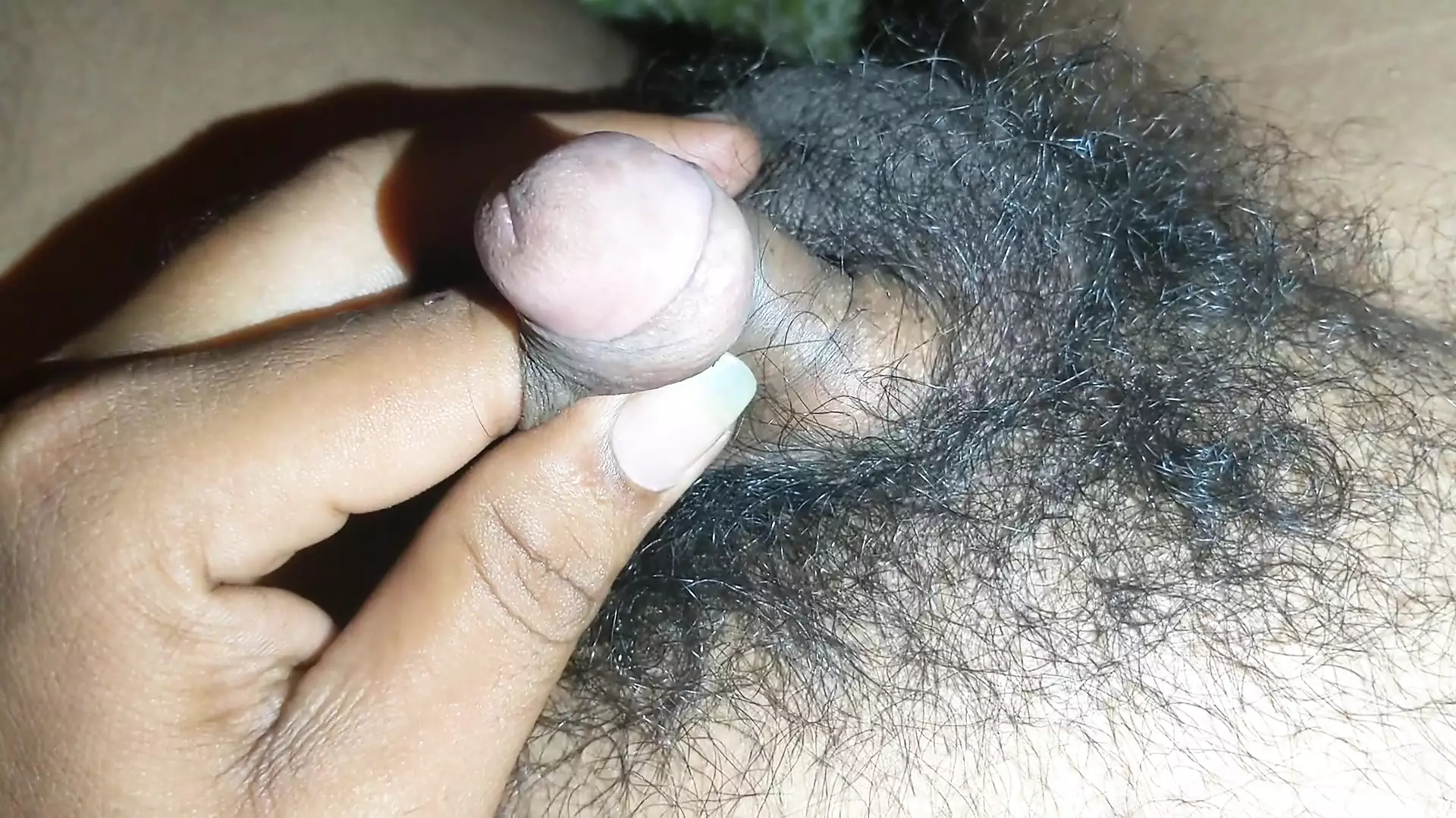Sexy Vibes Indian Shemale Ass Licking Blowjob Porn Xhamster
