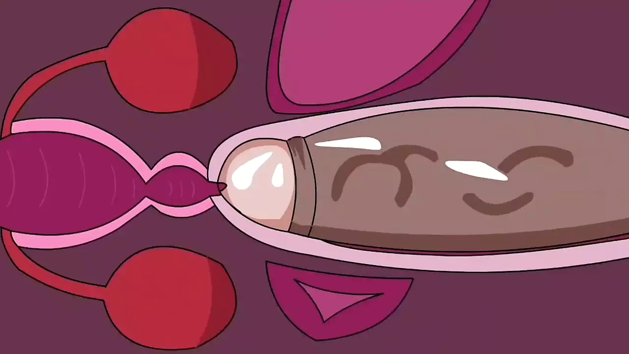 Internal Ejaculation 2 Animation: Hentai Porn feat. Animategolden | xHamster