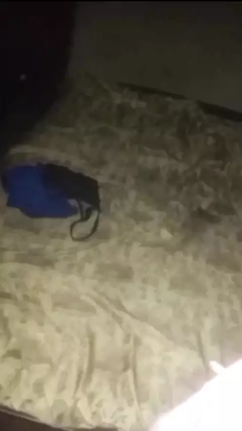 Saturday Night Sex Free Porn Video 29 Xhamster