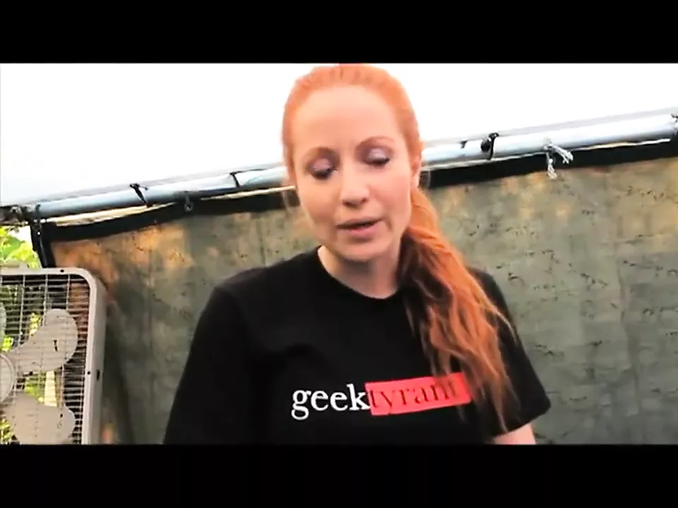 Free Jiu Jitsu Porn Videos Xhamster