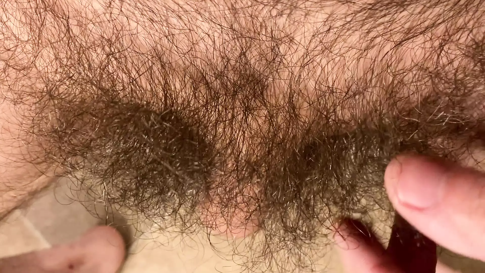 Closeup Overhead View Showing off My Extremely Hairy Dark Pubes: Gay Porn | xHamster