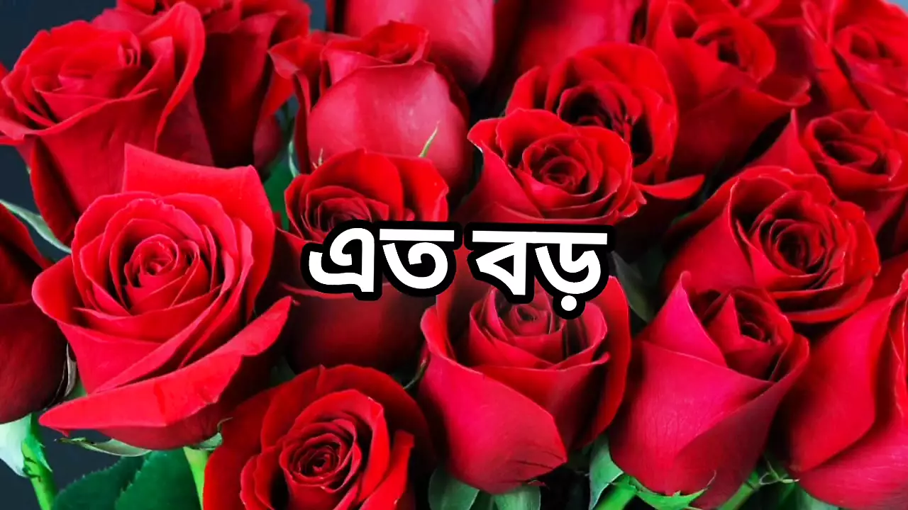 Bangla Choto Golpo Bangla Choti Golpo New Full Bangla Choti Golpo Full Story In Bangla Audio 